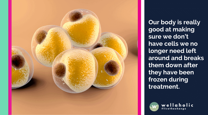 9 Interesting Facts about WellaFreeze Fat Freeze or Cryolipolysis ...